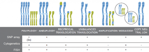 SNP Arrays – Haematological Malignancy Diagnostic Service SNP Arrays – Haematological Malignancy Diagnostic Service