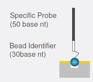 Gene Expression Arrays – Haematological Malignancy Diagnostic Service