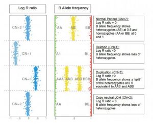 SNP Arrays – Haematological Malignancy Diagnostic Service